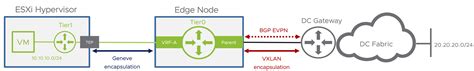Bgp Evpn Between Nsx And Vyos Part 1