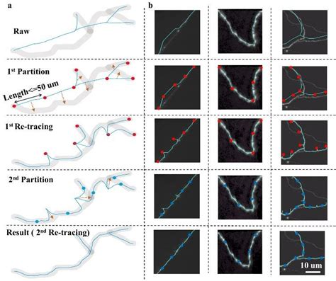Overall Workflow Of Our Refinement Strategy Dots Reconstruction