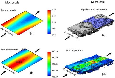 Predictions Of Distributions For Both Macroscale And Microscale Download Scientific Diagram