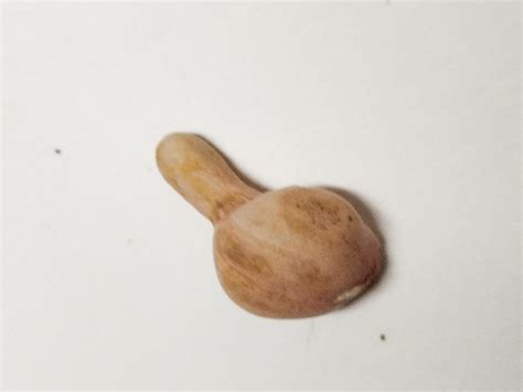 My Peanut Image 2388147 ThisVid Tube