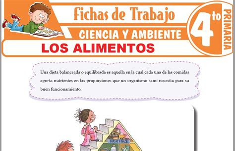 Ficha Interactiva De Los Alimentos Para Cuarto Grado De Primaria Porn