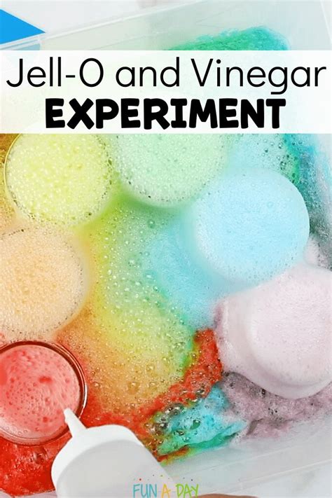 Jello And Vinegar Experiment For Scented Science Fun Science