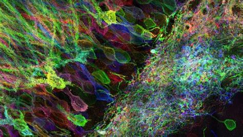 Convergent Research
