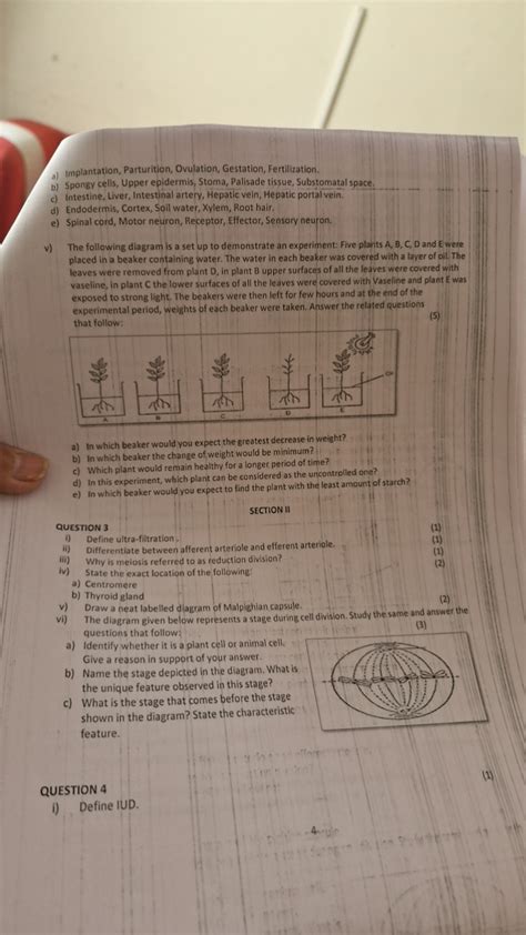 A Implantation Parturition Ovulation Gestation Fertilization B Spo