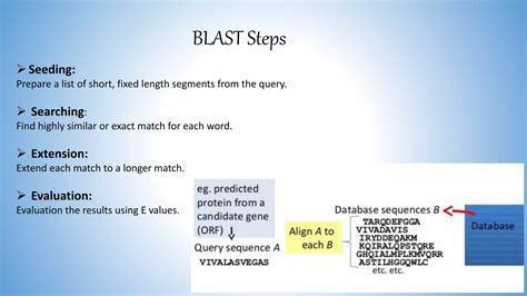 Protein Sequence Analysis Pptx Chemistry Science