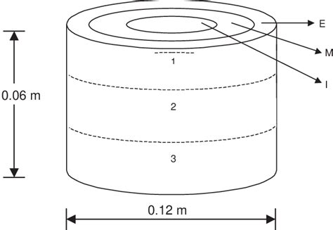 Sketch Of Cheese Sampling For Salt Concentration Determination Where Download Scientific