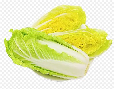 新鲜的大黄白菜PNG图片素材下载 图片编号qzvvxpvp 免抠素材网