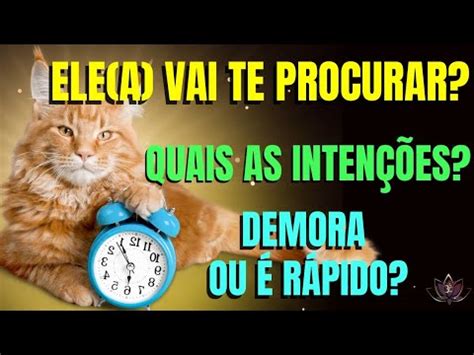 Ele a vai te Procurar Demora ou é Rápido E quais as intenções dessa