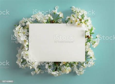 푸른 배경에 아름다운 벚꽃 가지 맨 위 보기입니다 공간을 복사합니다 0명에 대한 스톡 사진 및 기타 이미지 0명 개화기