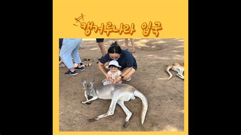 Eng Sub브리즈번 브이로그👨‍👩‍👧 Brisbane Vlogㅣ캥거루코알라 나라가보기 L 가족워홀러추천론파인코알라생추어리 ㅣ Lone Pine Koala