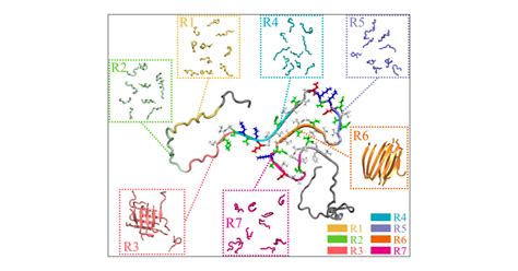 Dissecting The Self Assembly Dynamics Of Imperfect Repeats In α