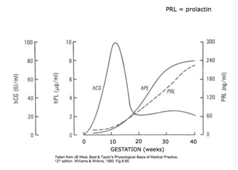 Maternal Physiology Flashcards Quizlet