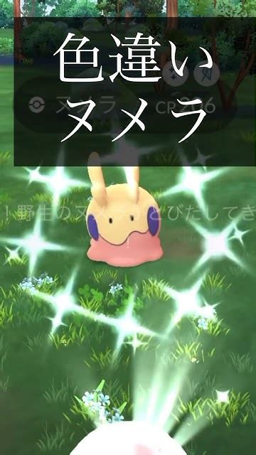 色違い ヌメラ Pokémon Go Youtube