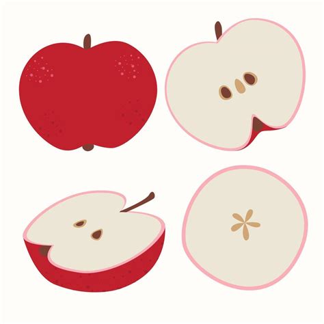 Stock Vector Illustration With Set Of Apples On A White Background Red