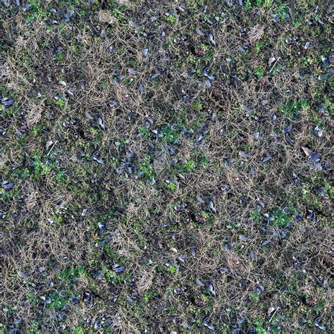 Dry Grass Textures Seamless