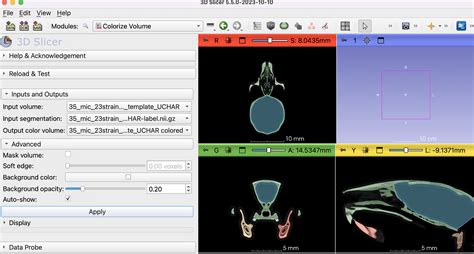 Vtk Multivolumecinematic Volume Rendering Support 3d Slicer Community