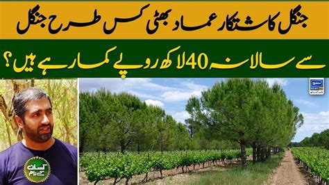 How Amar Bhatti Is Earning 40 Lakhs From Tree Farming Complete Model