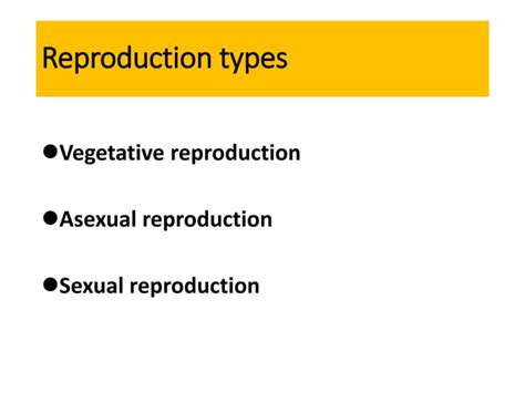 Reproduction In Bacteria Pptx Reproductive Health Diseases And