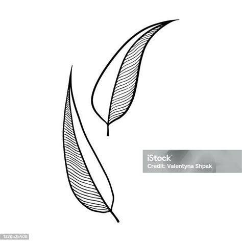 흰색 배경에 두 개의 추상잎 디자인의 요소로 잎의 흑백 벡터 개요 그림입니다 고무도장에 대한 스톡 벡터 아트 및 기타 이미지