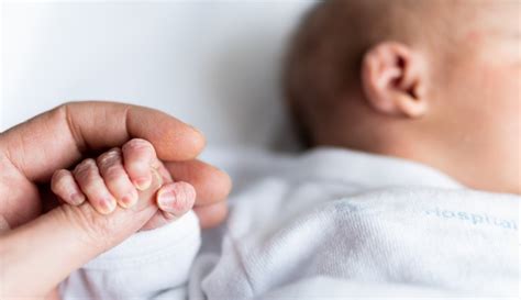 Los Bebés Feos Kiss Fm