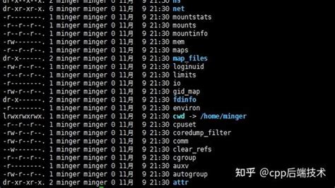 Linux下C C 实现进程内存使用分析工具memstat 知乎