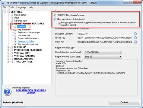 Protecting PowerBuilder Applications