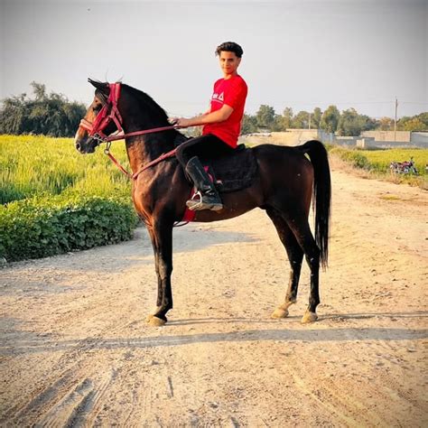 ‎areshya عرشیا‎ Arshiyatalili On Threads