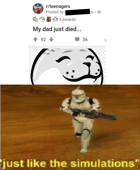 Just Like The Simulations R Memes