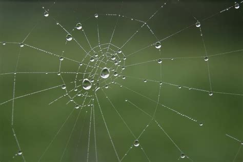 Building Scalable Web Applications On Aws A Step By Step Guide Kmf Blogs