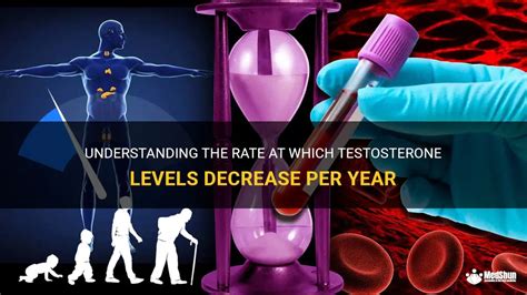 Understanding The Rate At Which Testosterone Levels Decrease Per Year Medshun
