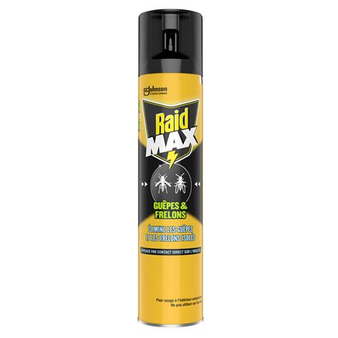 Insecticide Aérosol Guêpes Frelons RAID le flacon de 300mL à Prix