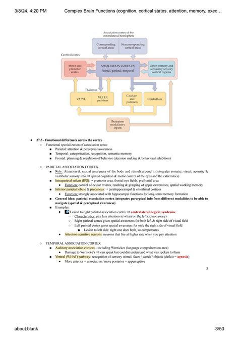 Solution Complex Brain Functions Cognition Cortical States Attention