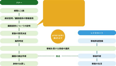 臓器提供について｜日本の移植事情
