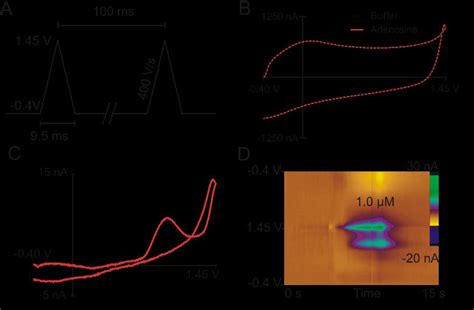 Detection Of Adenosine With Fscv A Applied Potential Waveform The