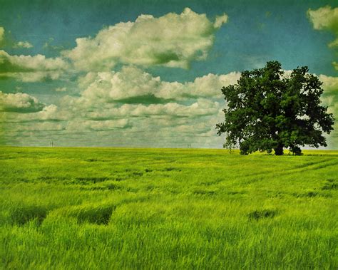 Una Actividad Perfecta Dia De Campo