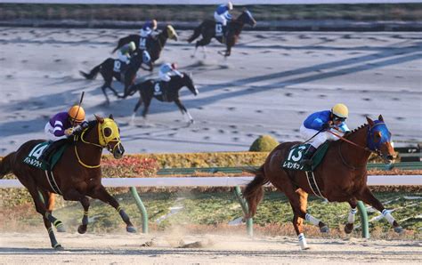 【根岸s】1番人気レモンポップが重賞初勝利 期待の大器ついに開眼 田中博師「まだ成長を感じる」 スポニチ競馬web