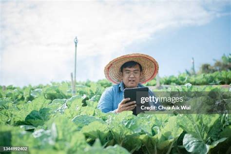 Field Technical Support Photos And Premium High Res Pictures Getty Images