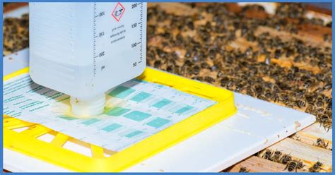 Varroa Mites Treatment With Formic Acid Mite Treatment For Bees
