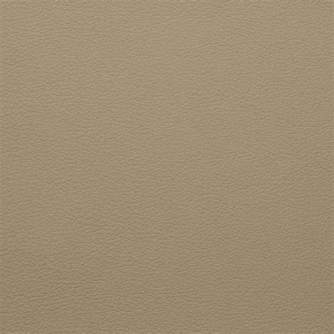 Fossil Decor Design Centre