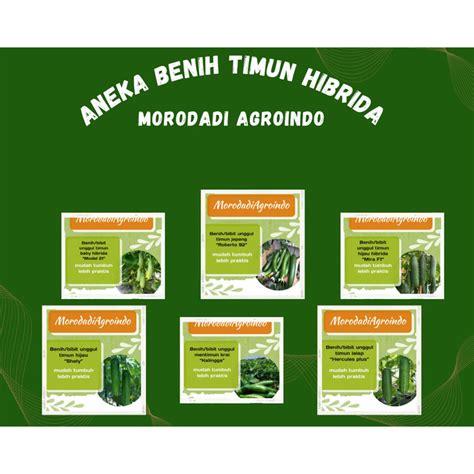 Jual Benih Bibit Unggulan Aneka Varietas Timun Krai Dari Berbagai Merk