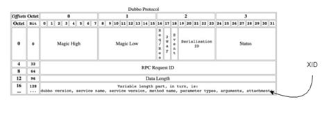 Seata Golang 接入指南 知乎