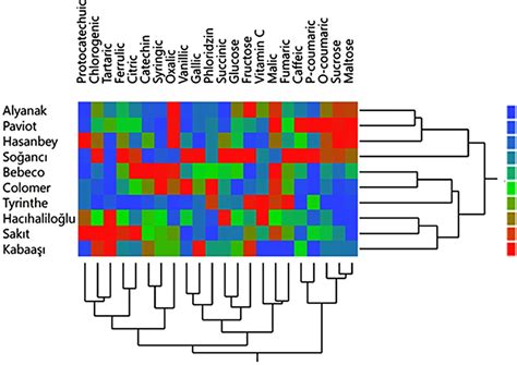 Hierarchical Clustering And Heatmap Analysis Based On The Average
