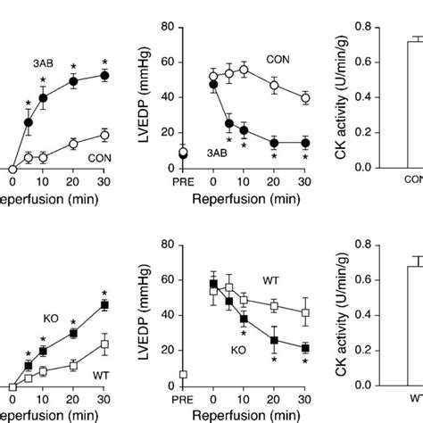 Parp 1 Inhibition Or Disruption Improves Contractility And Reduces Download Scientific Diagram