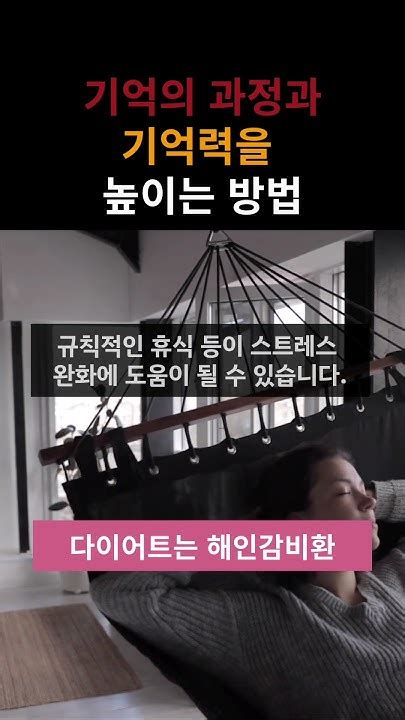 기억의 과정과 기억력을 높이는 방법 Youtube