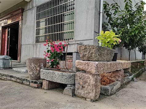 艾青故里 畈田蒋美丽庭院 70
