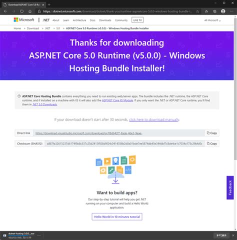 asp core 5 windows hosting bundleをインストールする iis internet