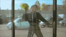 Window Cleaning S Tenor