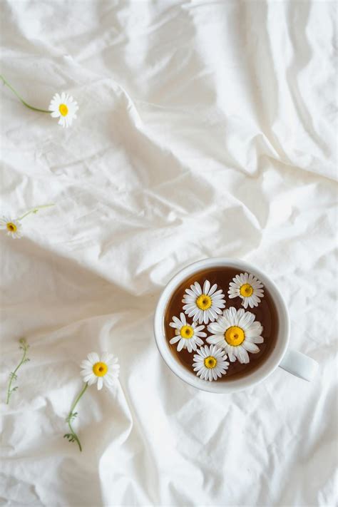 꽃 꽃잎 수직 쐈어 위에서 내려다 본 차 컵 확대 흰색 배경에 관한 무료 스톡 사진