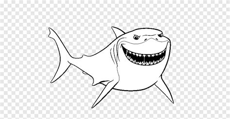 Finding Nemo Bruce