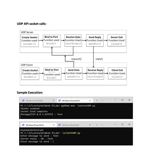 Solved Lab Use Socket Programming To Build Simple Client Chegg Com